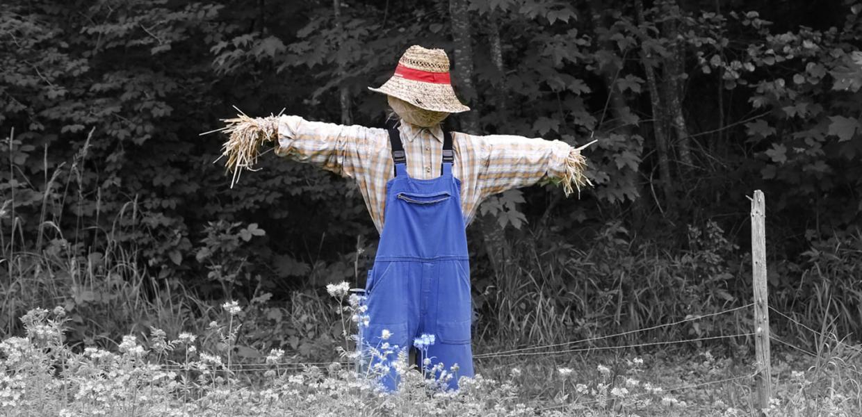 Dialekten - Æ sproch | VisitSønderjylland